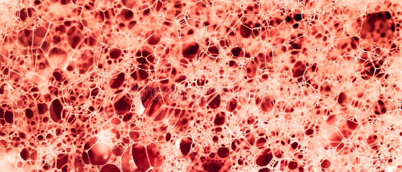 Lather. Abstract Background from Bubbles and Soap Foam Stock Photo ...