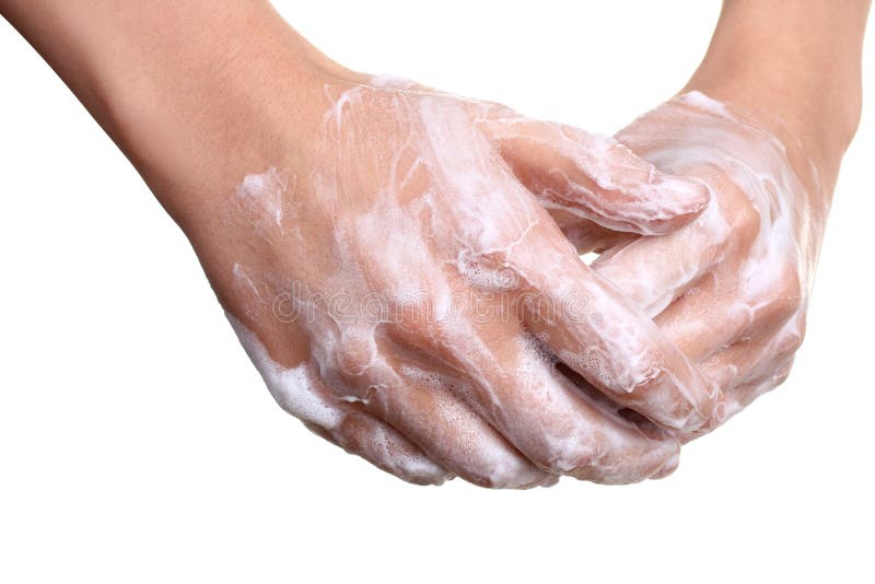 Lathered hands and soap stock photo. Image of isolated - 31062244