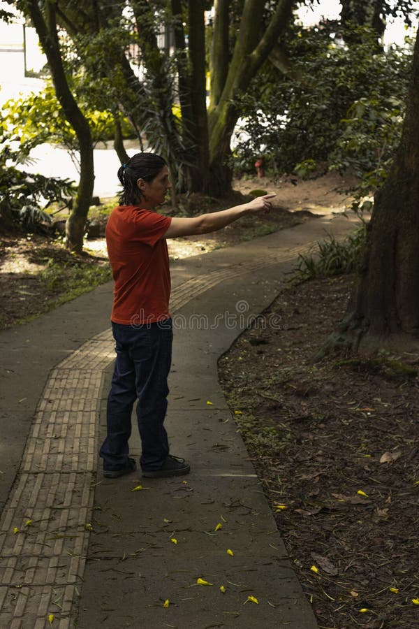 Black-haired Man Pointing at a Tree in Natural Park Stock Image - Image ...