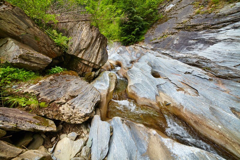 Latoritei river stock photo. Image of peaceful, leaf - 43355096
