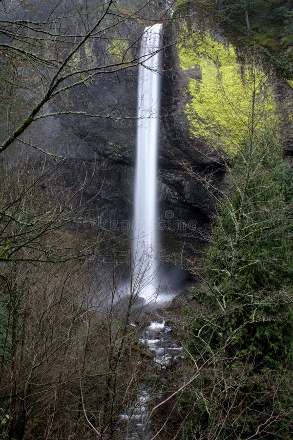 Latourell baja en enero foto de archivo. Imagen de liquen - 3975044