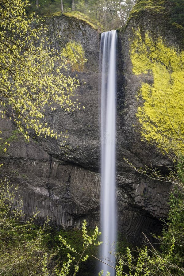 Spring waterfall stock photo. Image of pacific, flow - 30228656