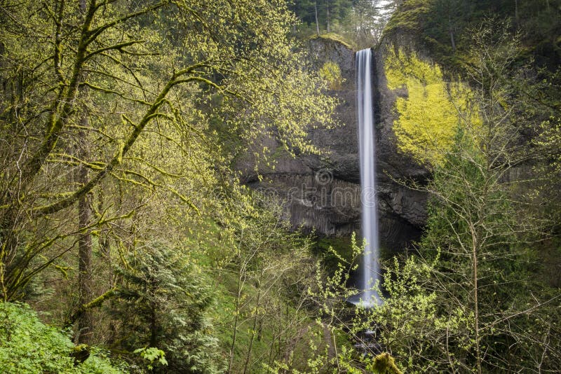 Spring waterfall stock photo. Image of oregon, northwest - 30228734