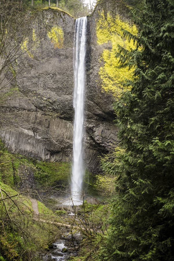 Spring waterfall stock image. Image of falls, leaves - 30228895