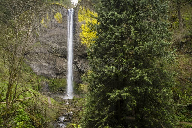 Spring waterfall stock image. Image of columbia, leaves - 30228927