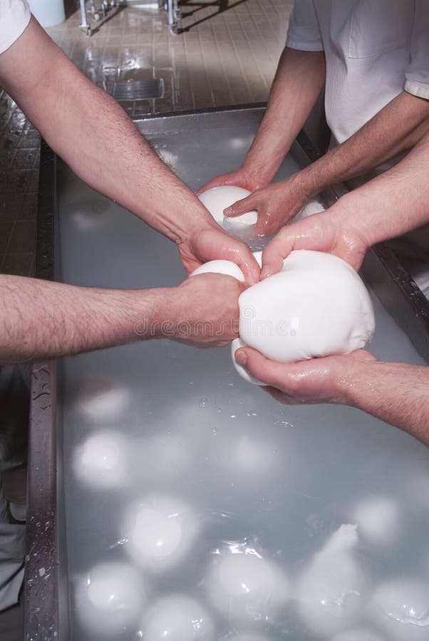 Lattai, Che Preparano La Mozzarella Immagine Stock - Immagine di latte ...