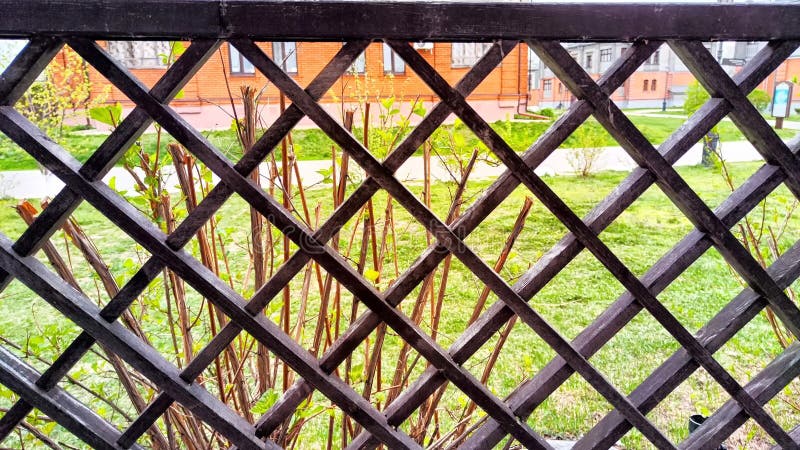 Lattice Fence Overlooking a Green Garden with Budding Plants in ...