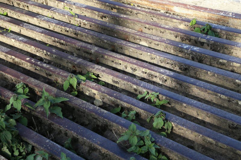 Sewer Grid. Iron Grid for Water Flow in Sewers Stock Photo - Image of ...