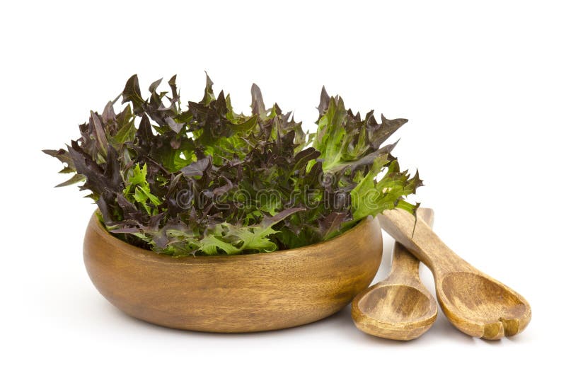 Insalata Rossa Di Lollo Rosso Fotografia Stock - Immagine di caloria ...