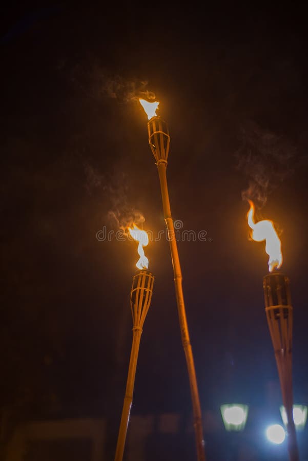 Latvian Lacplesa Day Torchlight Procession. Lighted Torches Stock Photo ...