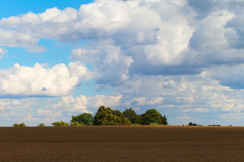 Latvian landscape, stock photo. Image of latvia, summer - 32768786