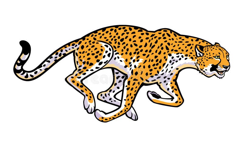 Laufender Gepard vektor abbildung. Illustration von safari - 26460419
