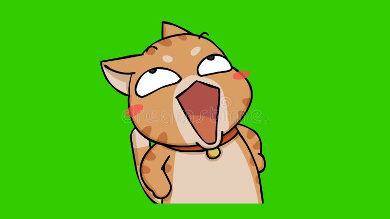 Laughing Cat Animation with Hands on Hips - Green Screen Stock Footage ...
