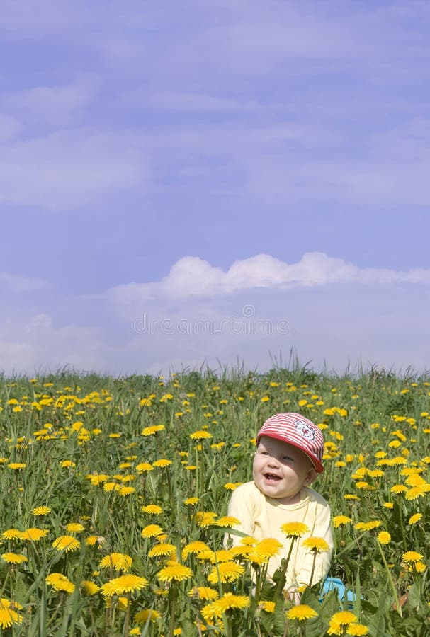 Laughing Little Boy on the Field Stock Photo - Image of toddler, scene ...