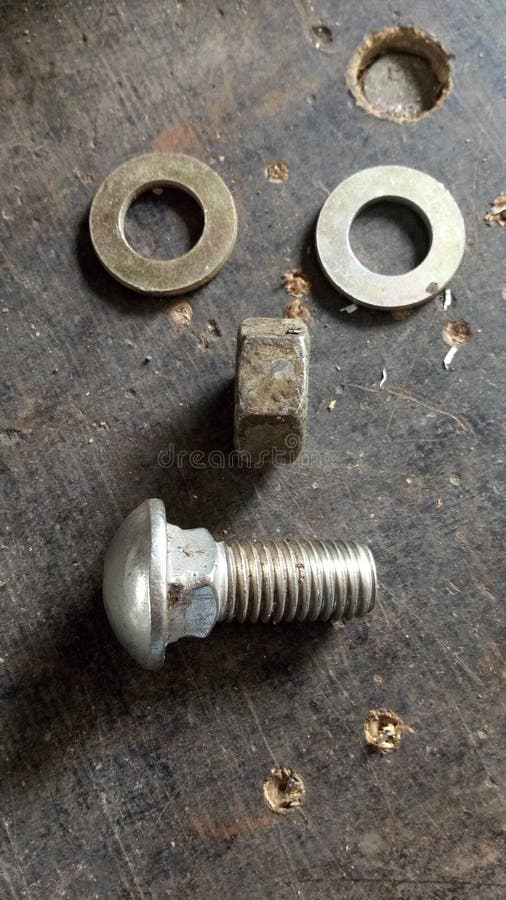 The laughing nut stock photo. Image of good, laughing - 100149800