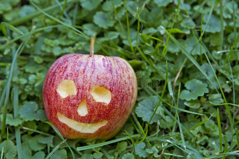 Laughing red apple stock photo. Image of tasty, ripe - 28105000