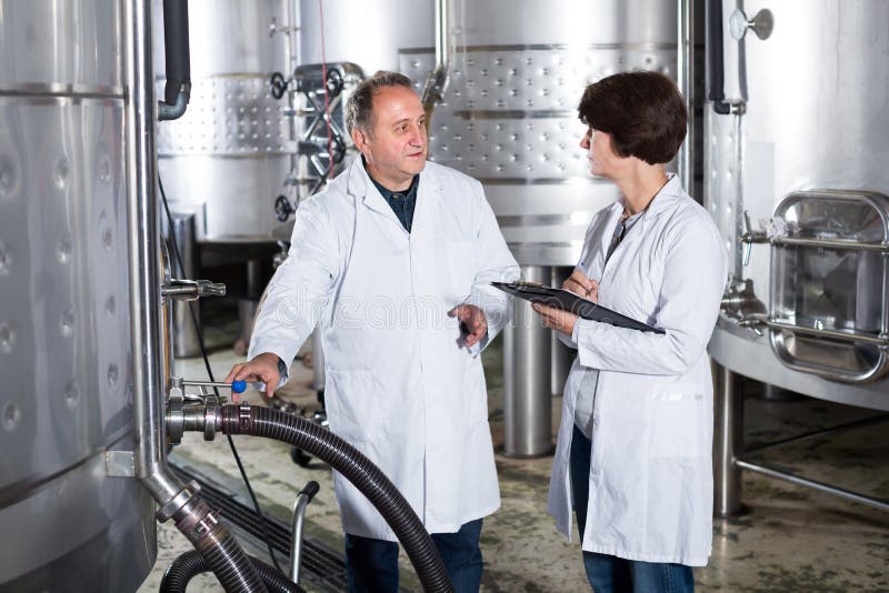Wine Maker Controls Quality of Wine Stock Photo - Image of tasting ...