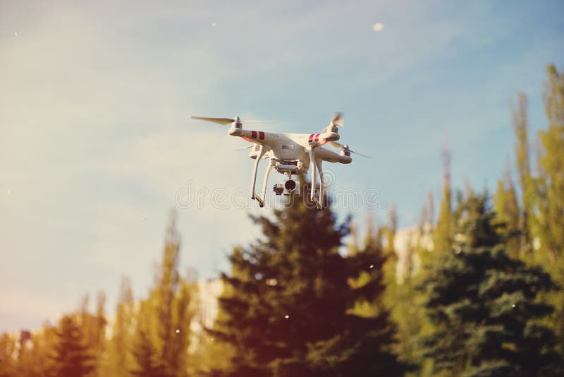 The Launch of the Quadrocopter in the Park in the Summer Stock Photo ...