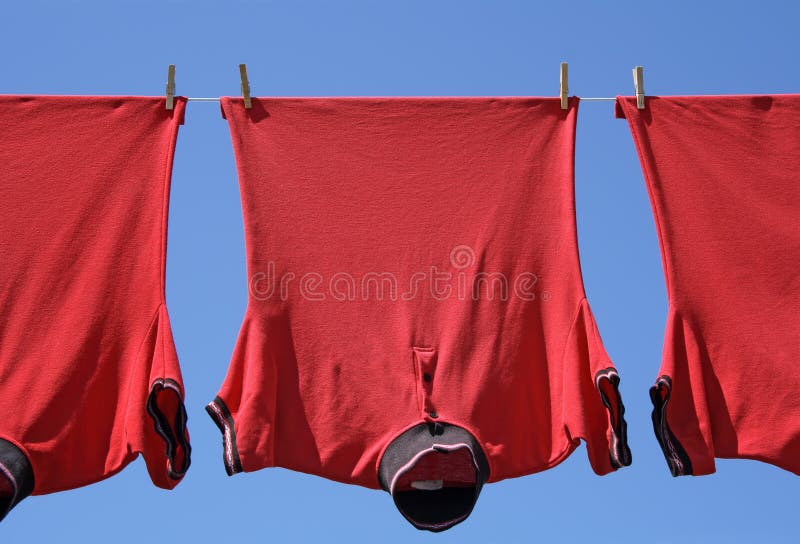 Sunny laundry stock photo. Image of clean, folded, flower - 18801310