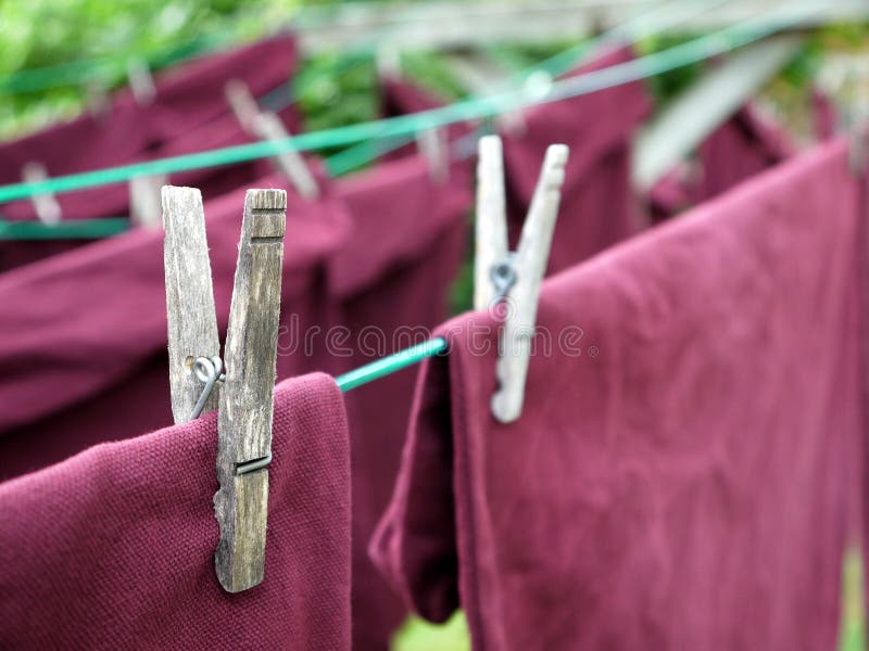 Laundry: Clothes Pin Detail Stock Photo - Image of wooden, pegs: 20704194