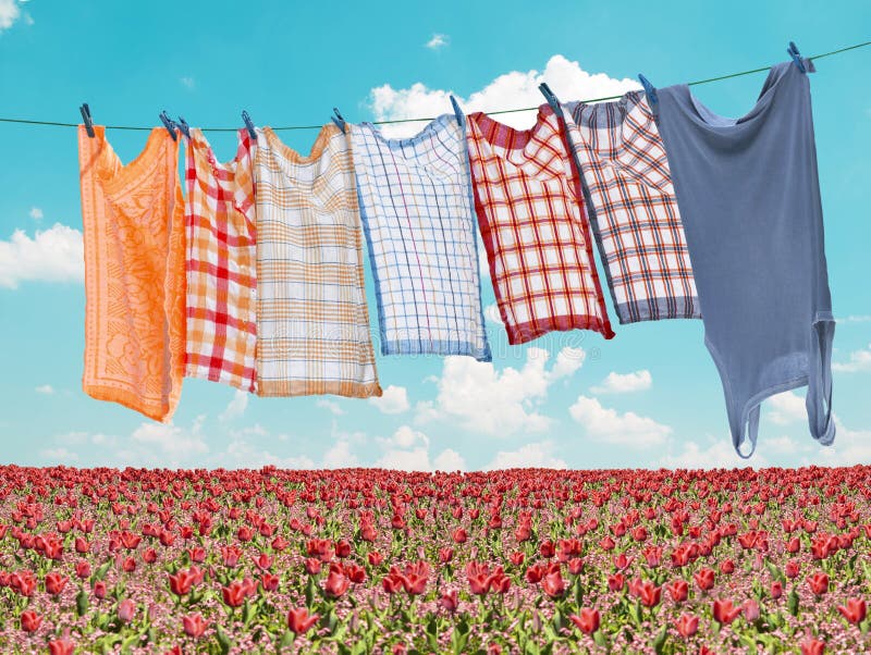 Flower Clothesline Stock Photos - Download 543 Royalty Free Photos