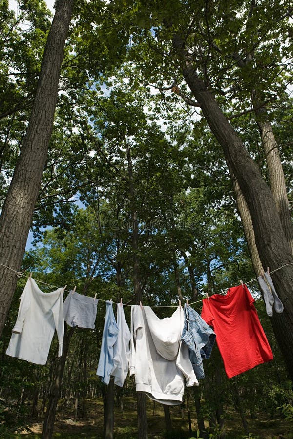 Laundry Hanging between Trees Stock Photo - Image of clothes, shine ...