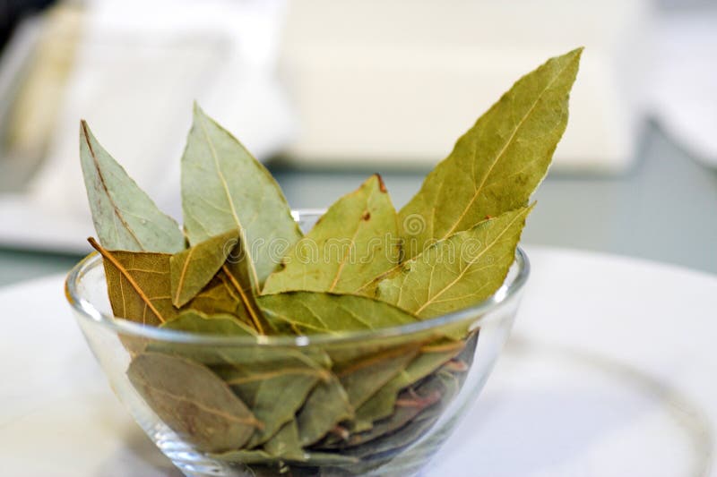 Laurel stock image. Image of spice, tasty, leaf, leaves - 986359