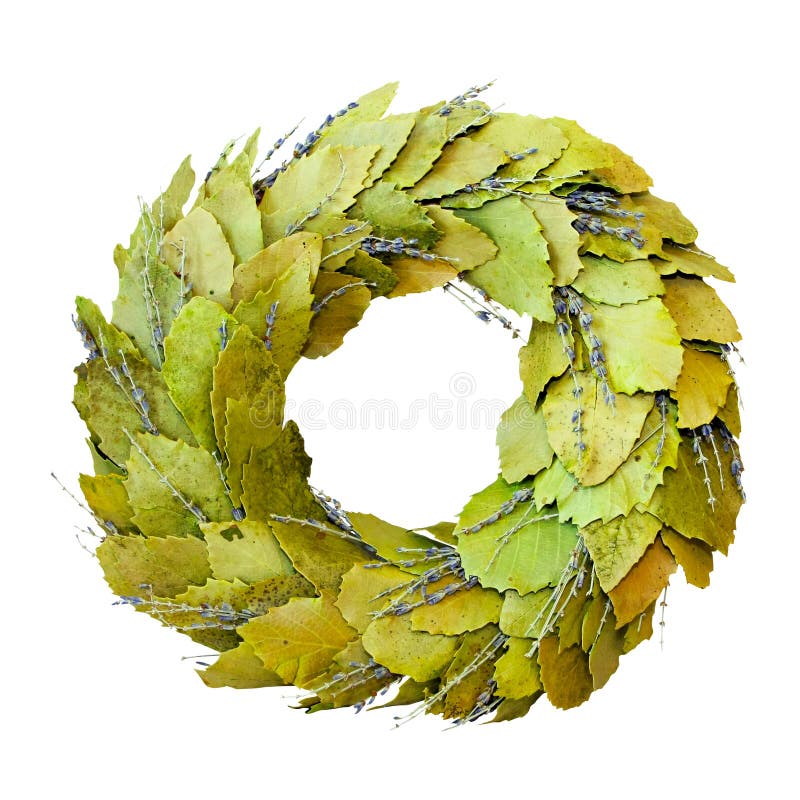 Laurel wreath isolated stock photo. Image of aromatic - 11951588