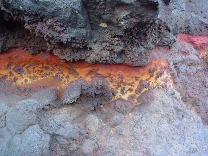 Great Barrier Reef Coral stock image. Image of antler, australia - 168837
