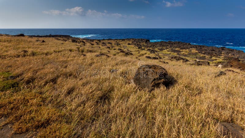 Lava field stock image. Image of rocks, seascape, stones - 46167319