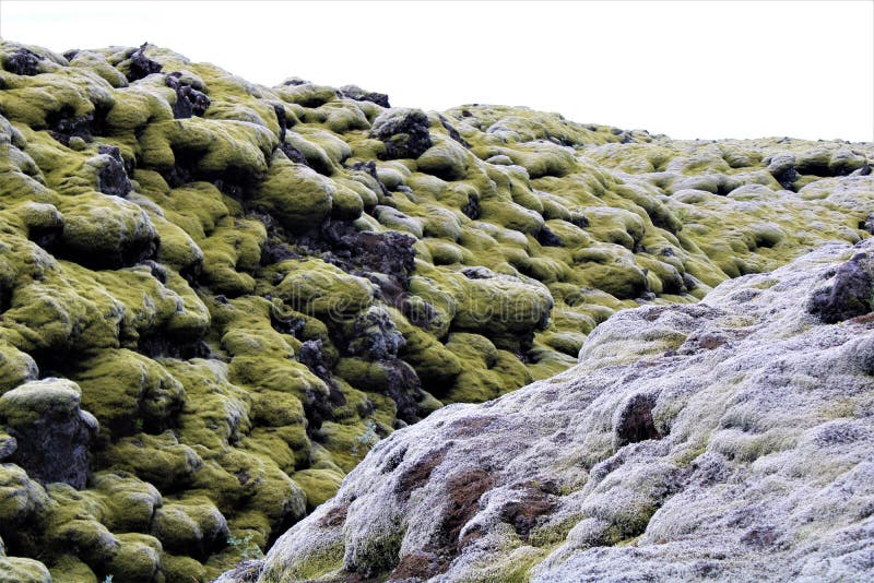 Lava fields in Iceland stock image. Image of surface - 255477513