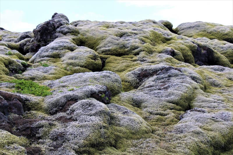 Lava fields in Iceland stock image. Image of hundreds - 255477535