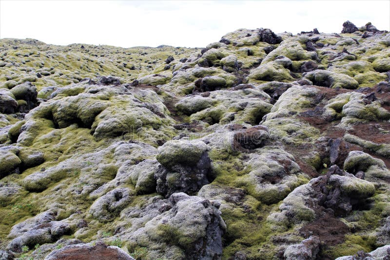 Lava fields in Iceland stock photo. Image of generally - 255477426