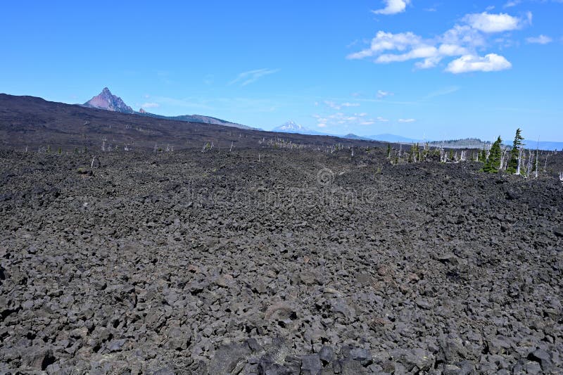 Lava Fields in Willamette National Forest, Oregon. Stock Photo - Image ...