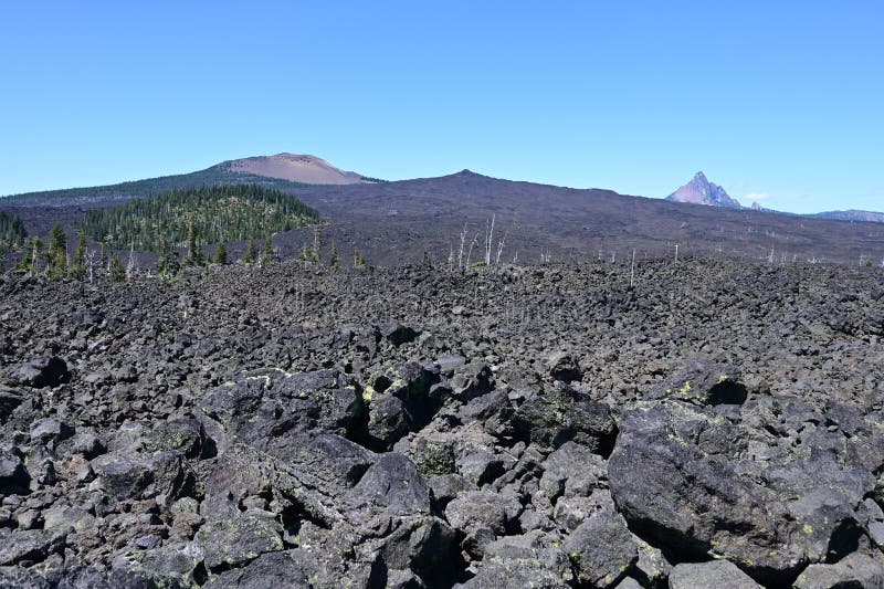 Lava Fields in Willamette National Forest, Oregon. Stock Photo - Image ...