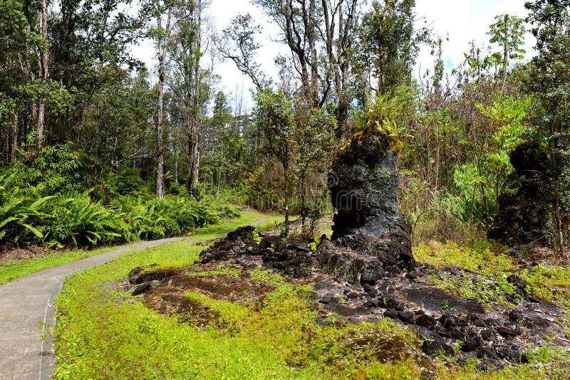 Lava Molds of the Tree Trunks that Were Formed when a Lava Flow Swept ...