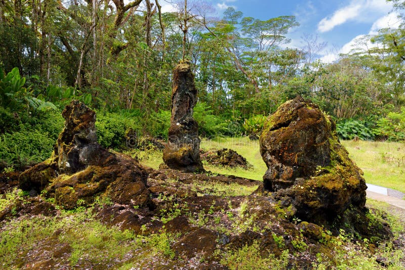 Lava Molds of the Tree Trunks that Were Formed when a Lava Flow Swept ...