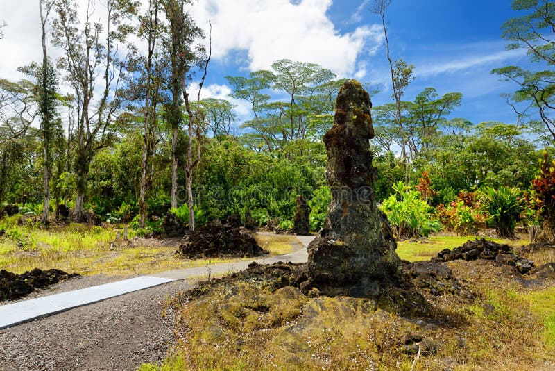 Lava Molds of the Tree Trunks that Were Formed when a Lava Flow Swept ...
