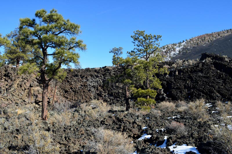 Lava Rock Crater with Trees Growing from it Stock Photo - Image of ...