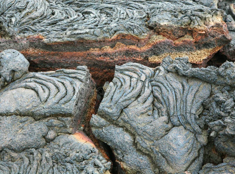 Galapagos Islands Volcanic Rock Formations with Cacti Stock Image ...