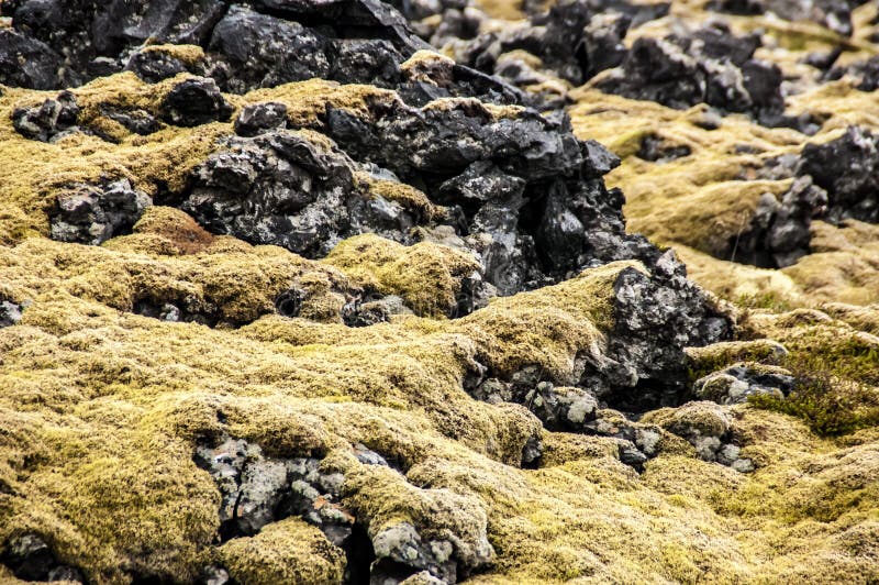 Lava rocks with moss stock image. Image of nature, structure - 45074685
