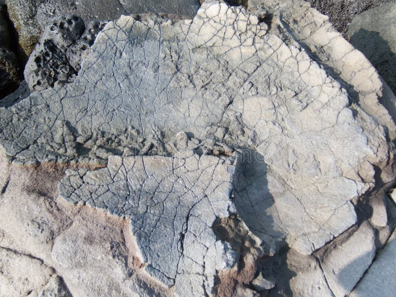 Lava Rocks stock photo. Image of volcanic, hawaii, crack - 31433374