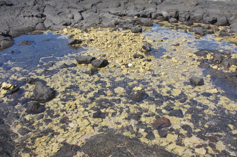 Lava rocks and white coral stock photo. Image of ocean - 27997584