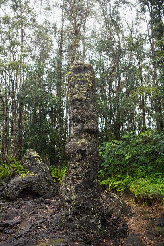 Lava Tree stock image. Image of lava, monument, trunk - 83762587