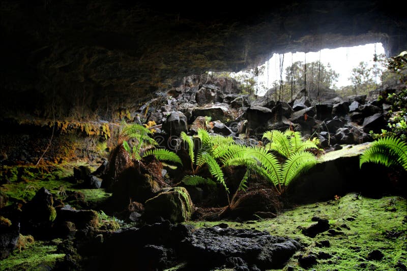 Lava Tube Cave Entrance 1 stock image. Image of ancient - 17297761