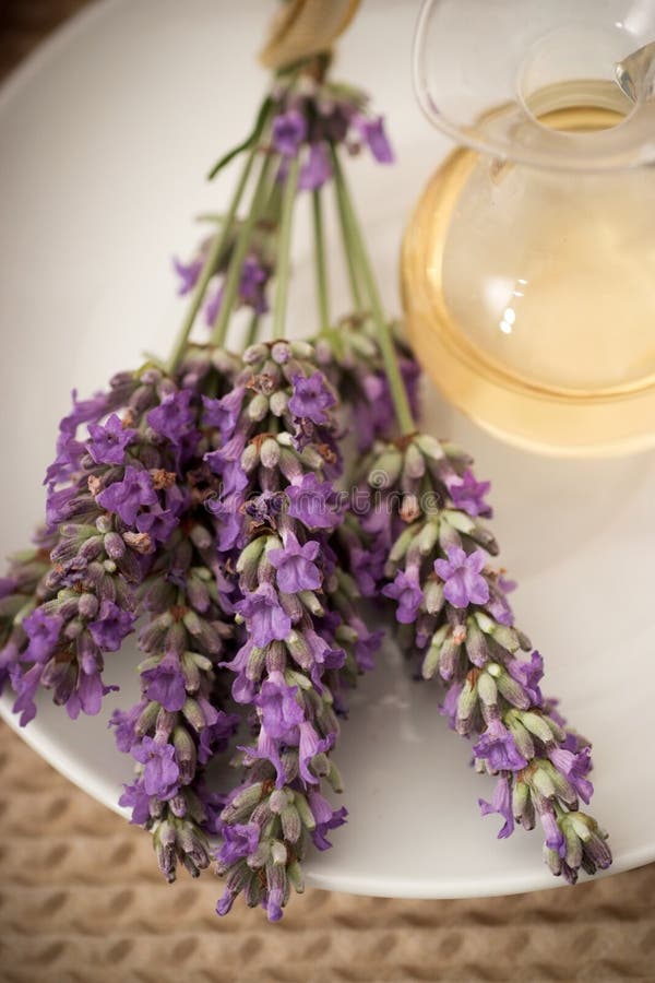 Lavanda aromatherapy immagine stock. Immagine di lavanda - 5501715