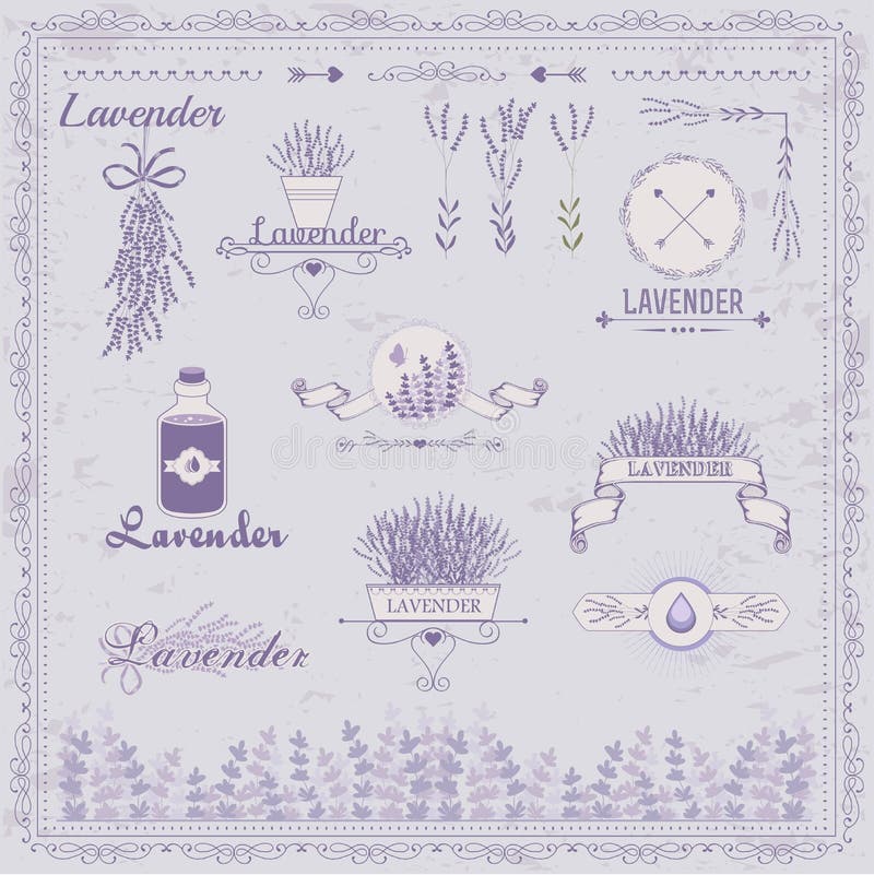 Flores de la lavanda ilustración del vector. Ilustración de frontera ...