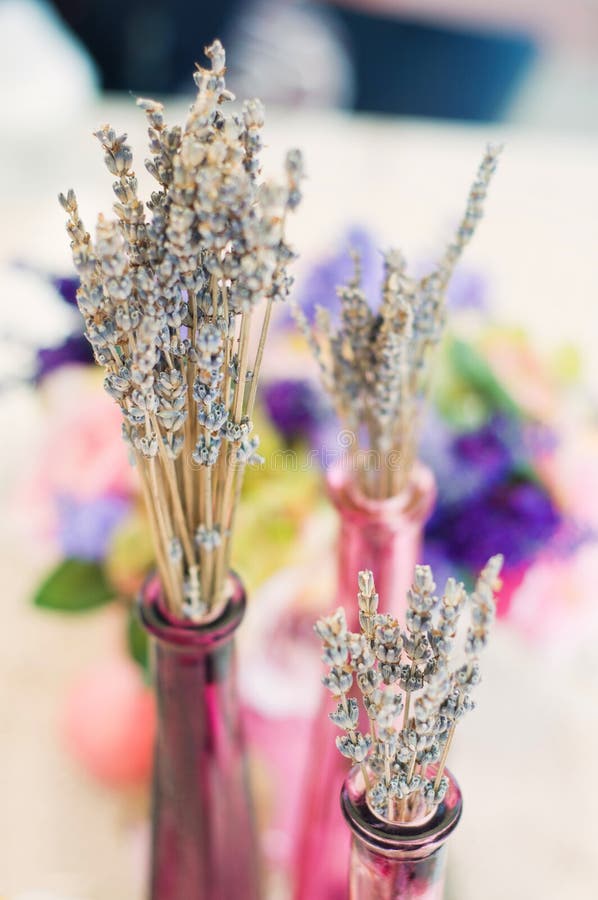 Lavanda Seca Em Vasos Cor-de-rosa Foto de Stock - Imagem de nave ...
