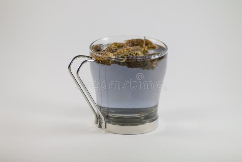 Lavandula stoechas Tea stock image. Image of essential - 88719985