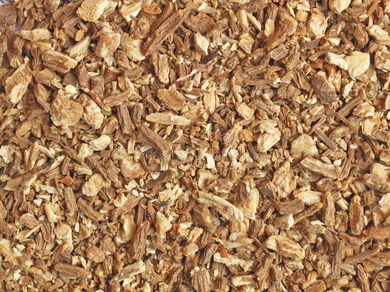 De Wortels Van De Lavas, Wortel Levistici Stock Afbeelding - Image of ...